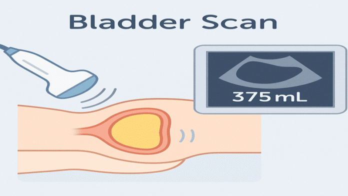 Bladder Scan: Interpreting The Scanner Results For NHS Staff