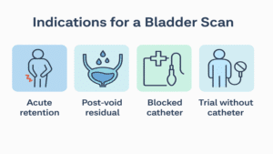 Bladder Scan: Interpreting The Scanner Results For NHS Staff