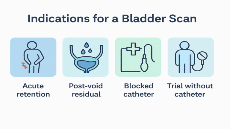 Bladder Scan: Interpreting The Scanner Results For NHS Staff