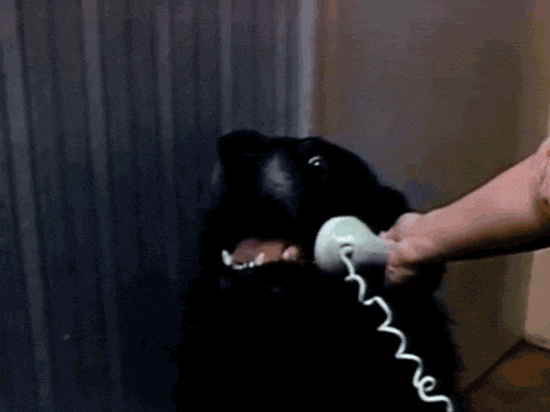 NHS Bleep System For Doctors: How To Use During On-Calls